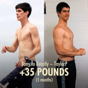 Bulking Transformations | Bony to Beastly
