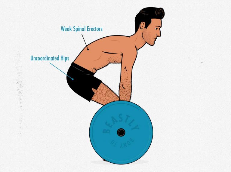 Ectomorph Workout Plan: Beginner Weight Training Routine