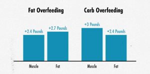 The Best Macros for Bulking: How Much Protein, Carbs & Fat to Eat
