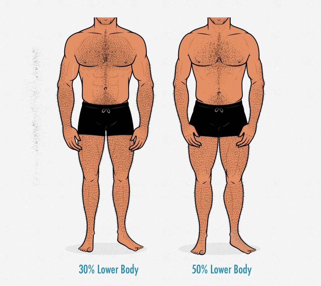 How Big Should Men Build Their Legs Bony To Beastly