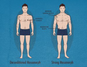 mesomorph-body-type-somatotype — Bony to Beastly