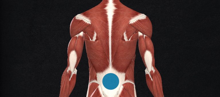 The Skinny Guy's Guide to Fixing Bad Posture