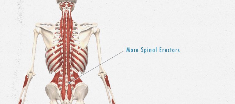 The Skinny Guy's Guide to Fixing Bad Posture