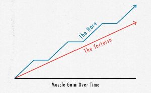 How Fast Should You Gain Weight While Bulking?