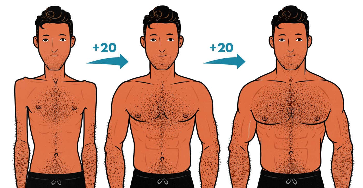 How Fast Should You Gain Weight While Bulking 