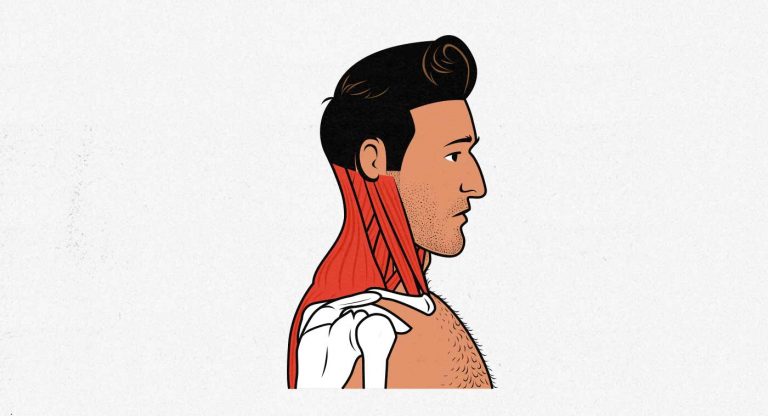 Neck Training: How to Build a Thicker Neck