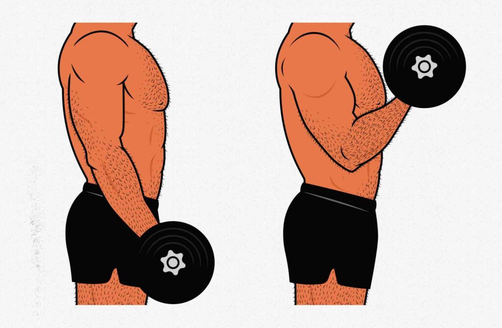 How to Build Bigger Arms