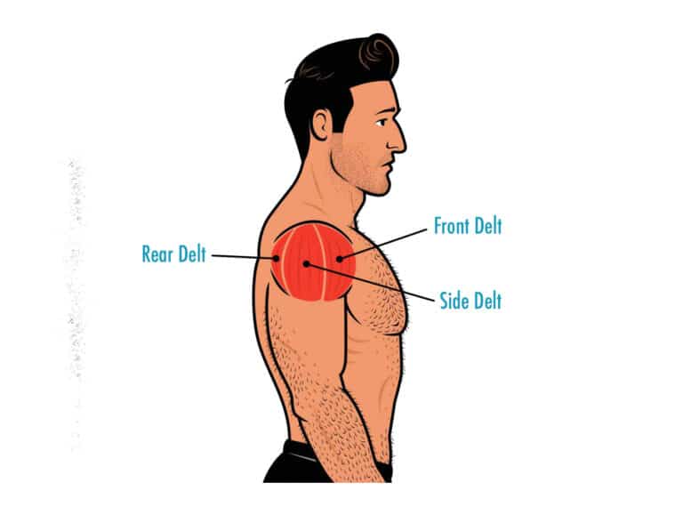 How to Build Broader Shoulders (for Skinny Guys)
