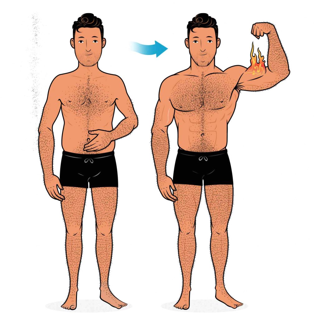 The Skinny-Fat Workout & Diet Guide | Bony to Beastly