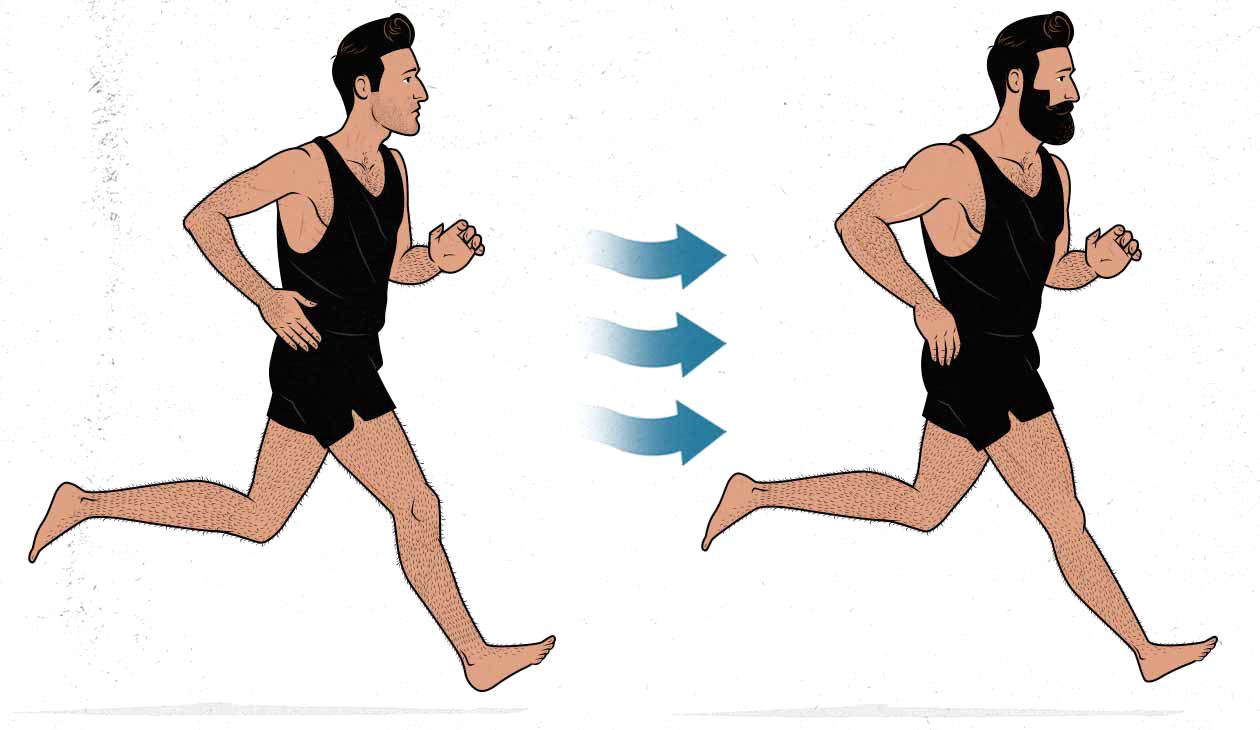 The Skinny-Fat Workout & Diet Guide | Bony to Beastly