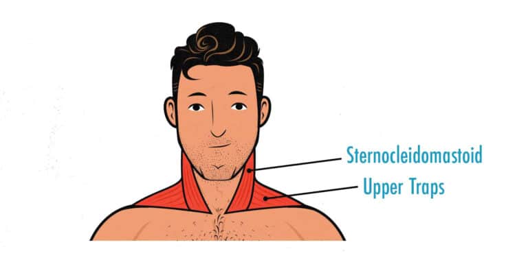 How to Build a Thicker Neck (for Skinny Guys)