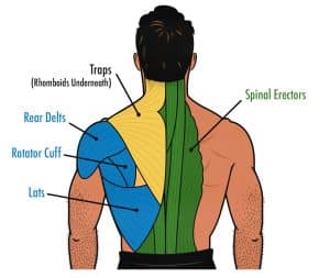 How to Build a Bigger Back: The Best Back Exercises & Workout
