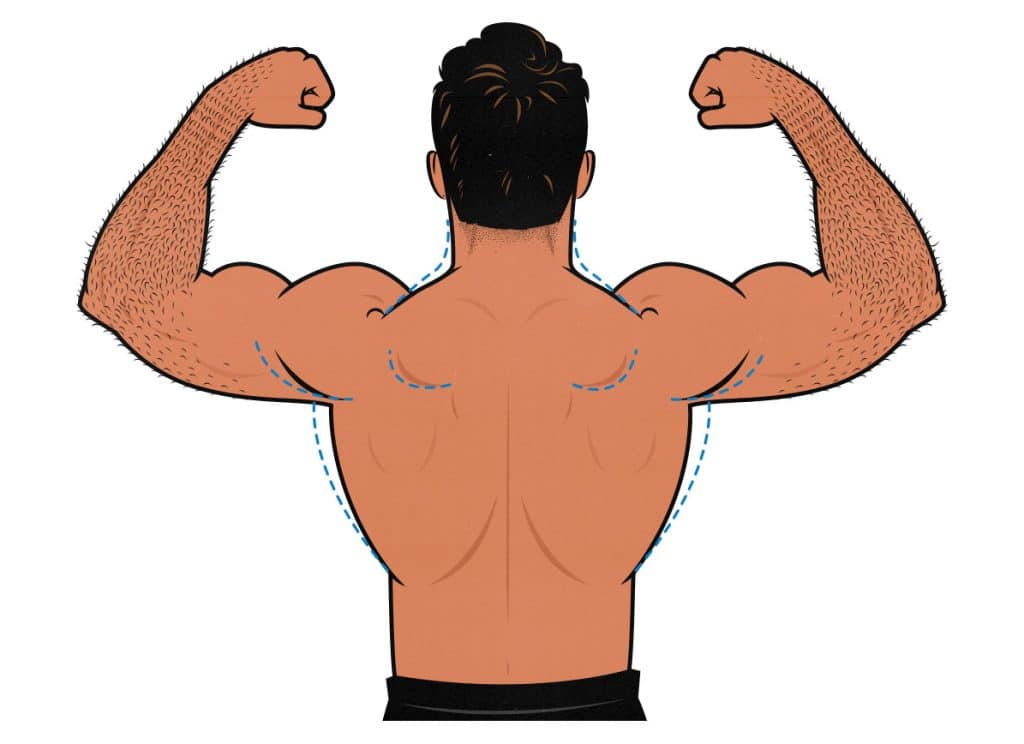 How to Train All Your Back Muscles