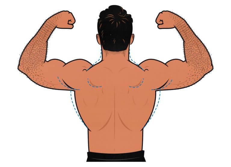 How to Build a Bigger Back: The Best Back Exercises & Workout