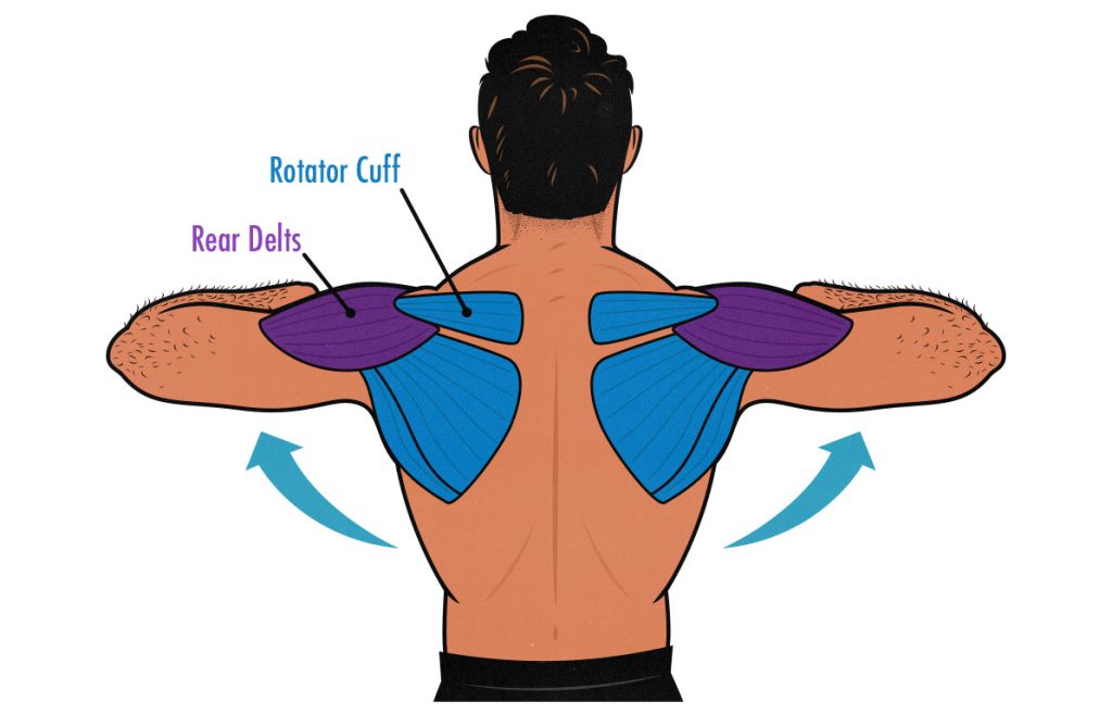 How to Build a Bigger Back: The Best Back Exercises & Workout