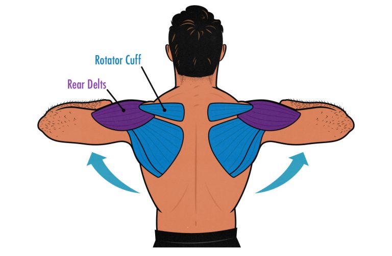 How to Build a Bigger Back: The Best Back Exercises & Workout