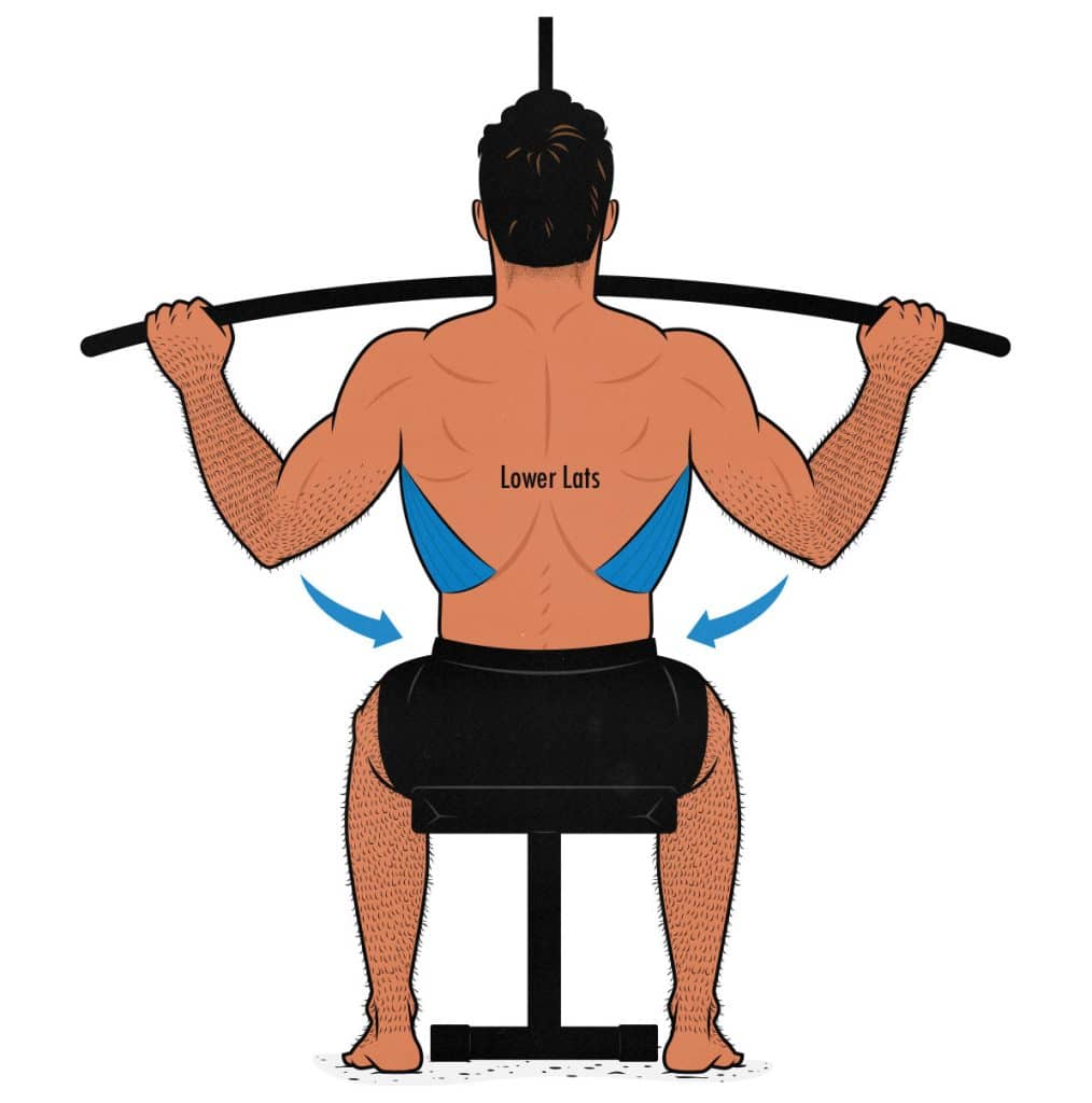 How to Build a Bigger Back: The Best Back Exercises & Workout