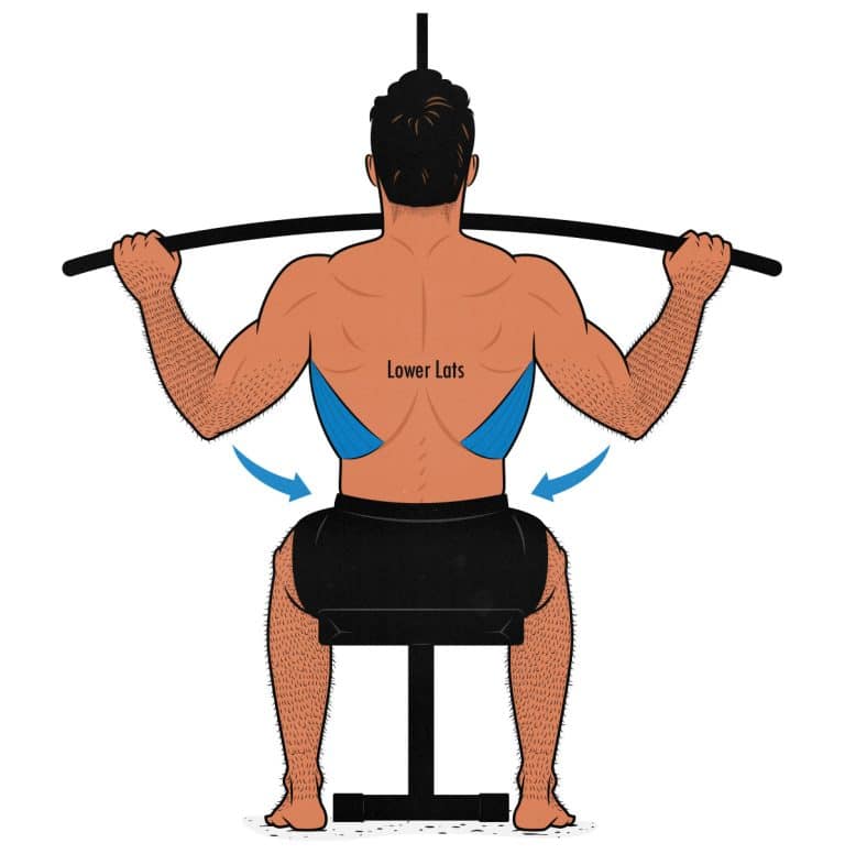 How to Build a Bigger Back: The Best Back Exercises & Workout