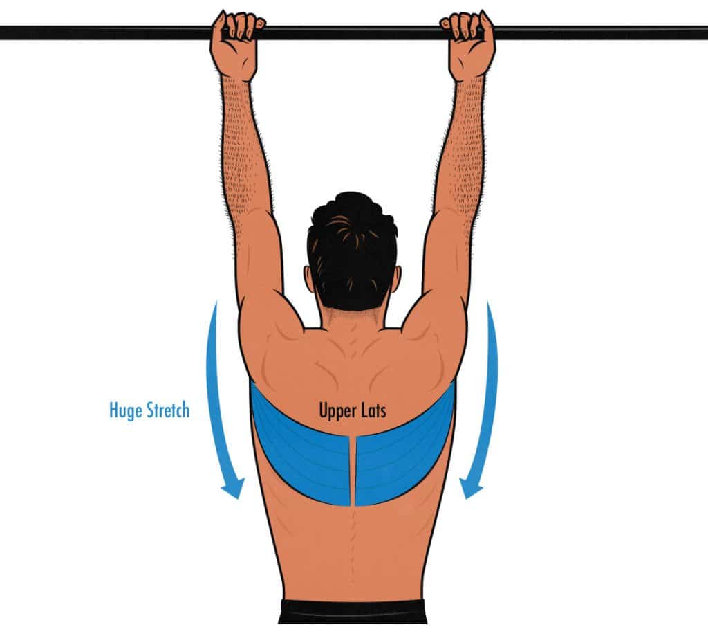 How to Build a Bigger Back: The Best Back Exercises & Workout
