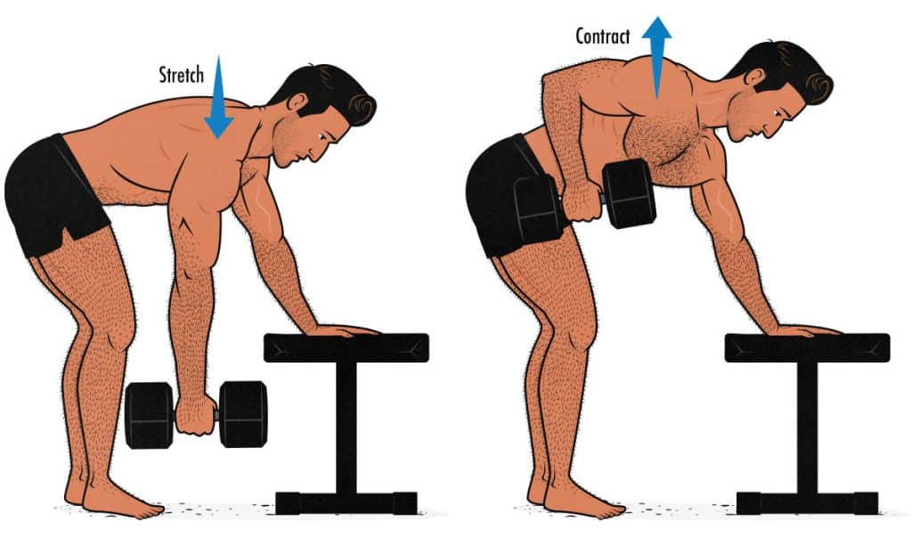 How to Build a Bigger Back: The Best Back Exercises & Workout