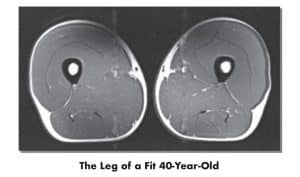 How Age Affects Muscle Growth