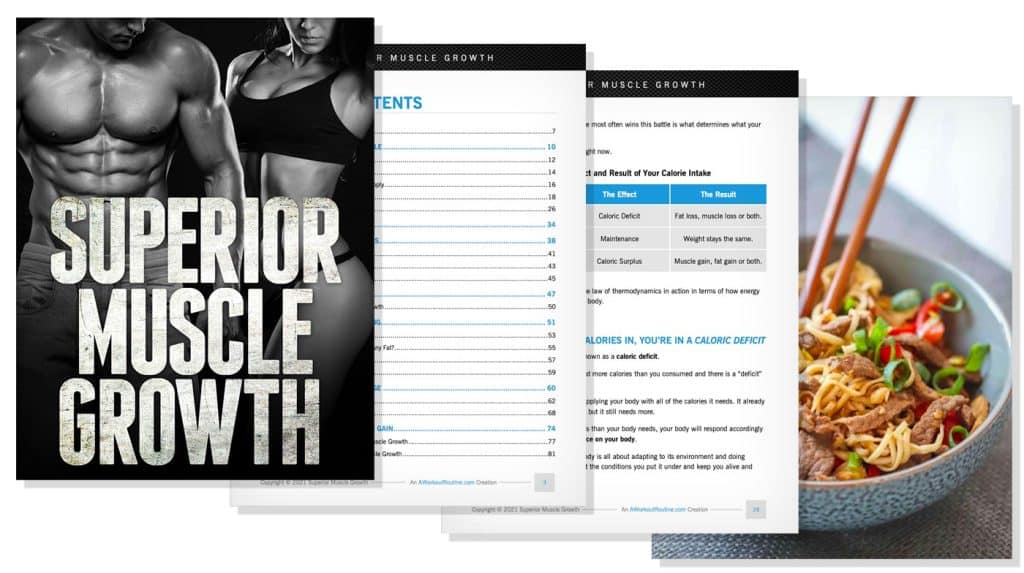 The Best Bulking Programs for Skinny Beginners in 2025 (Reviewed)