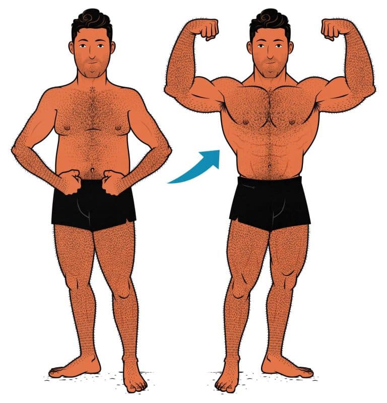 A Beginner s Guide To Bulking Cutting A Beginner s Guide To Bulking Cutting