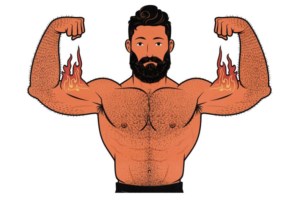 Starter Series—4-Day Split Workouts | Bony to Beastly