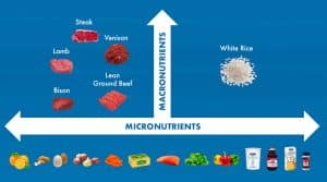 The Vertical Diet: Full Overview & Review