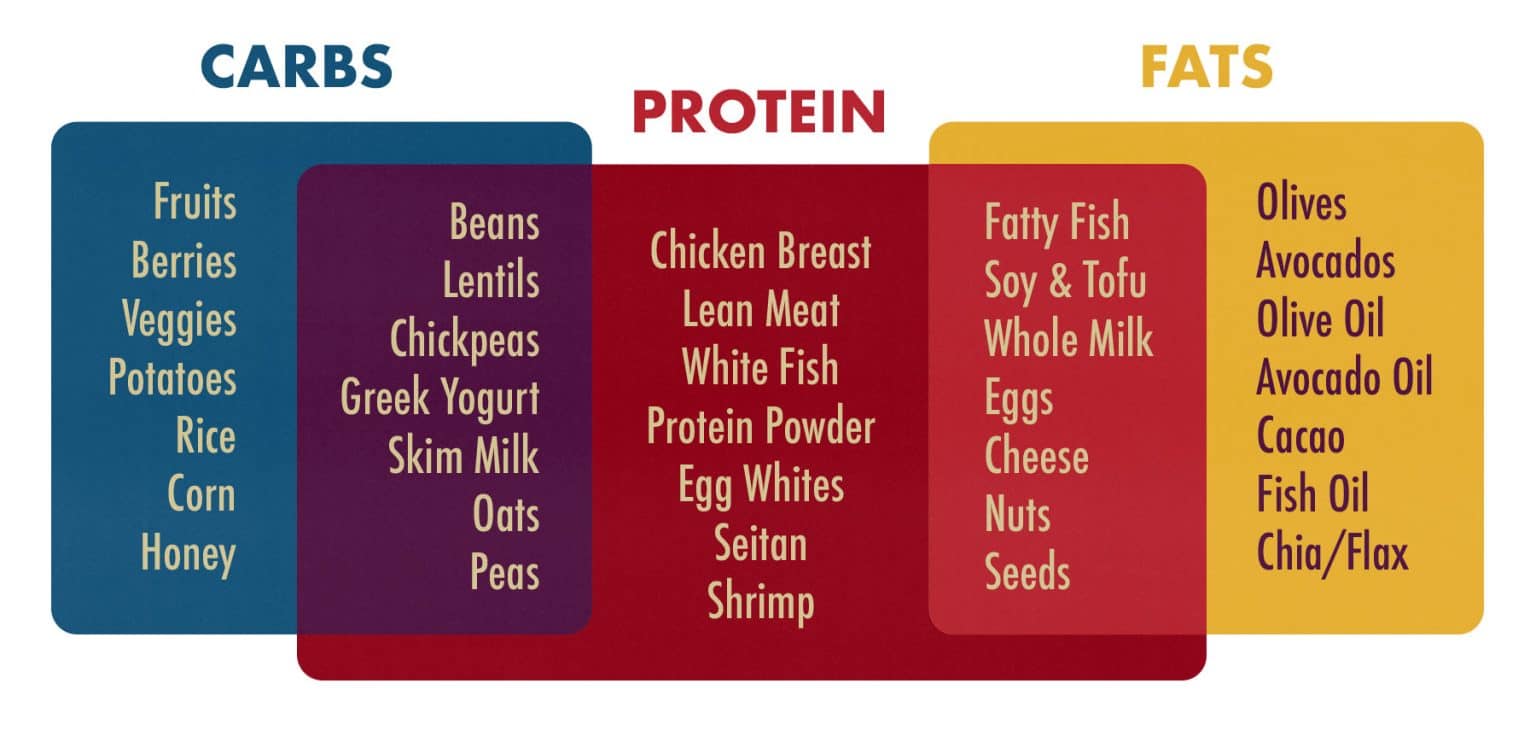 How to Count Macros: Beginner Guide