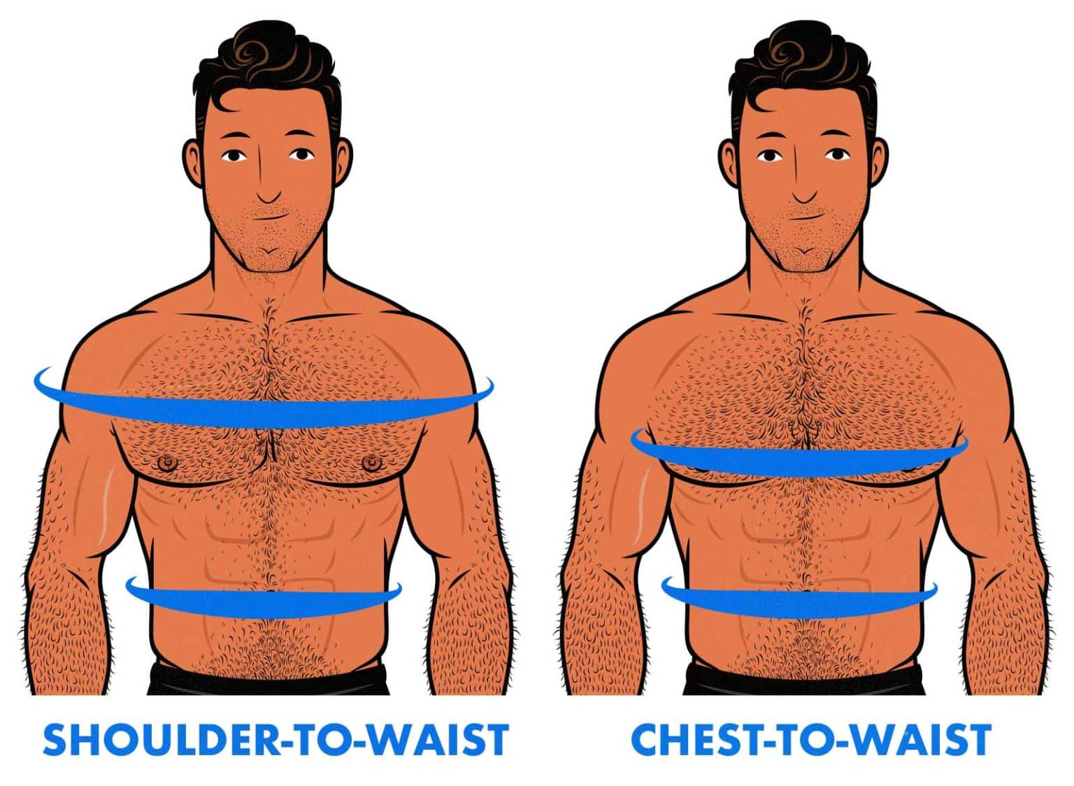 Do Women Prefer V-Taper Physiques with Bigger Side Delts?